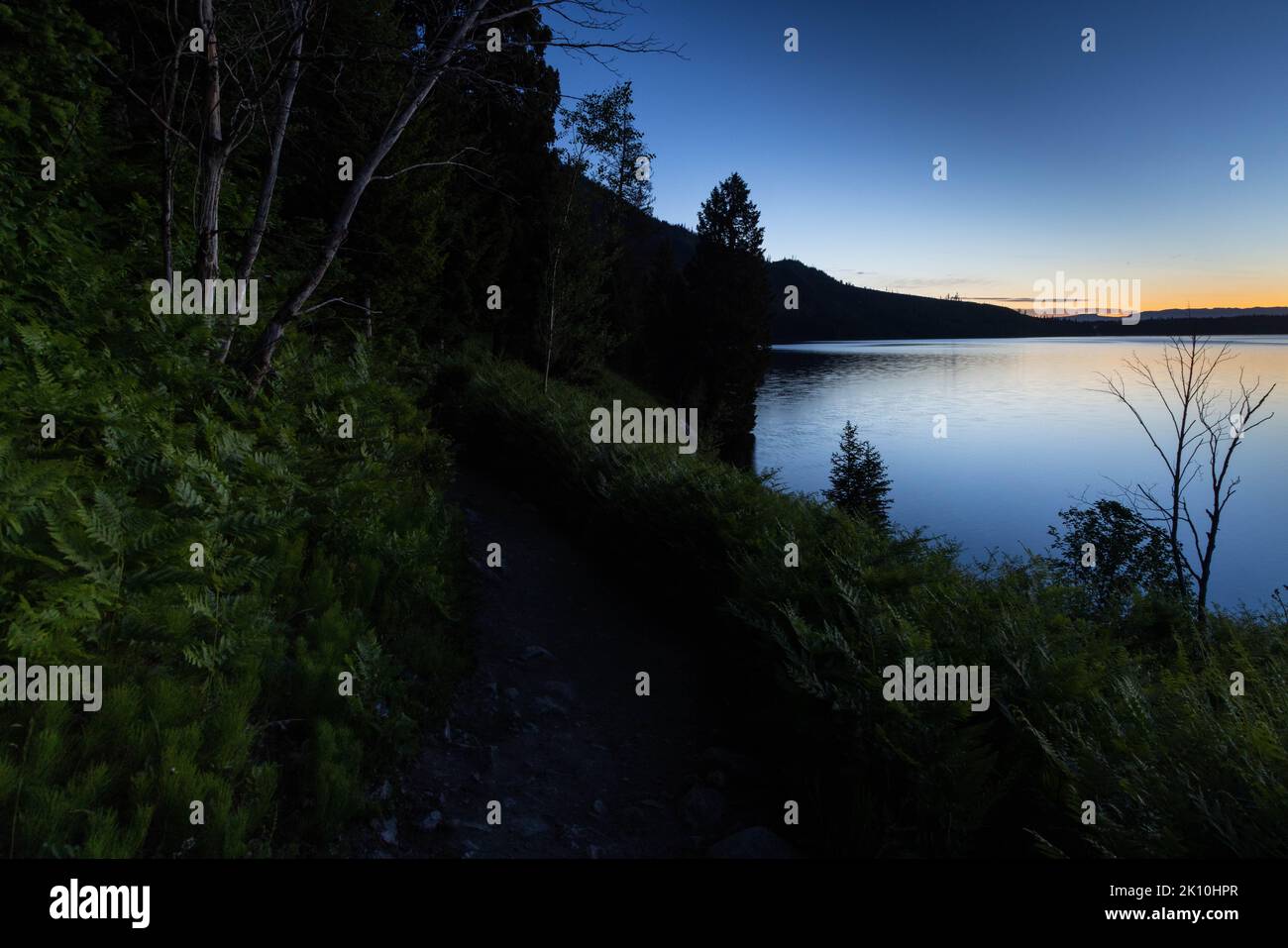 The Jenny Lake Loop winding through ferns along Jenny Lake at dawn ...