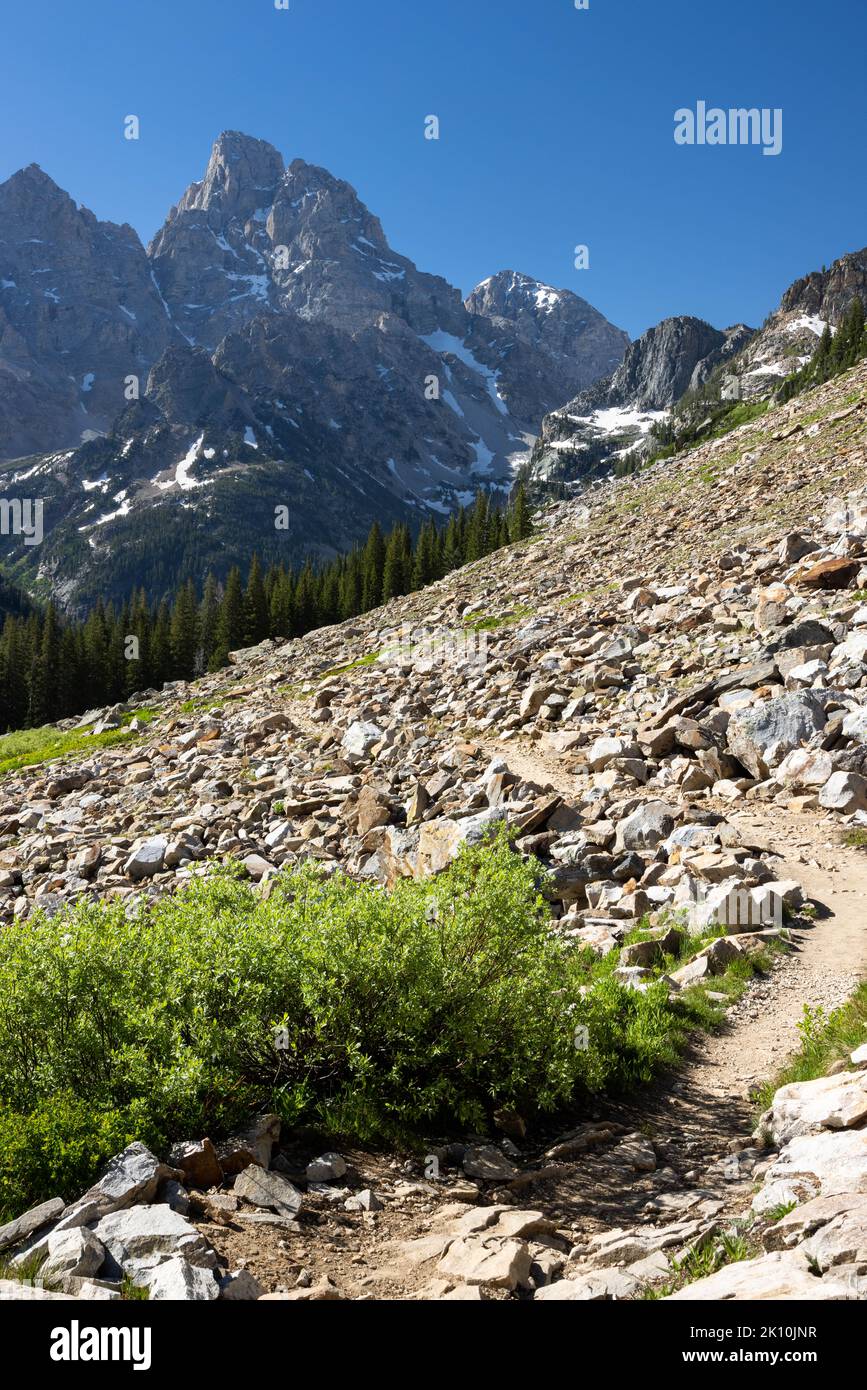The Lake Solitude Trail descending through a large boulder field below ...