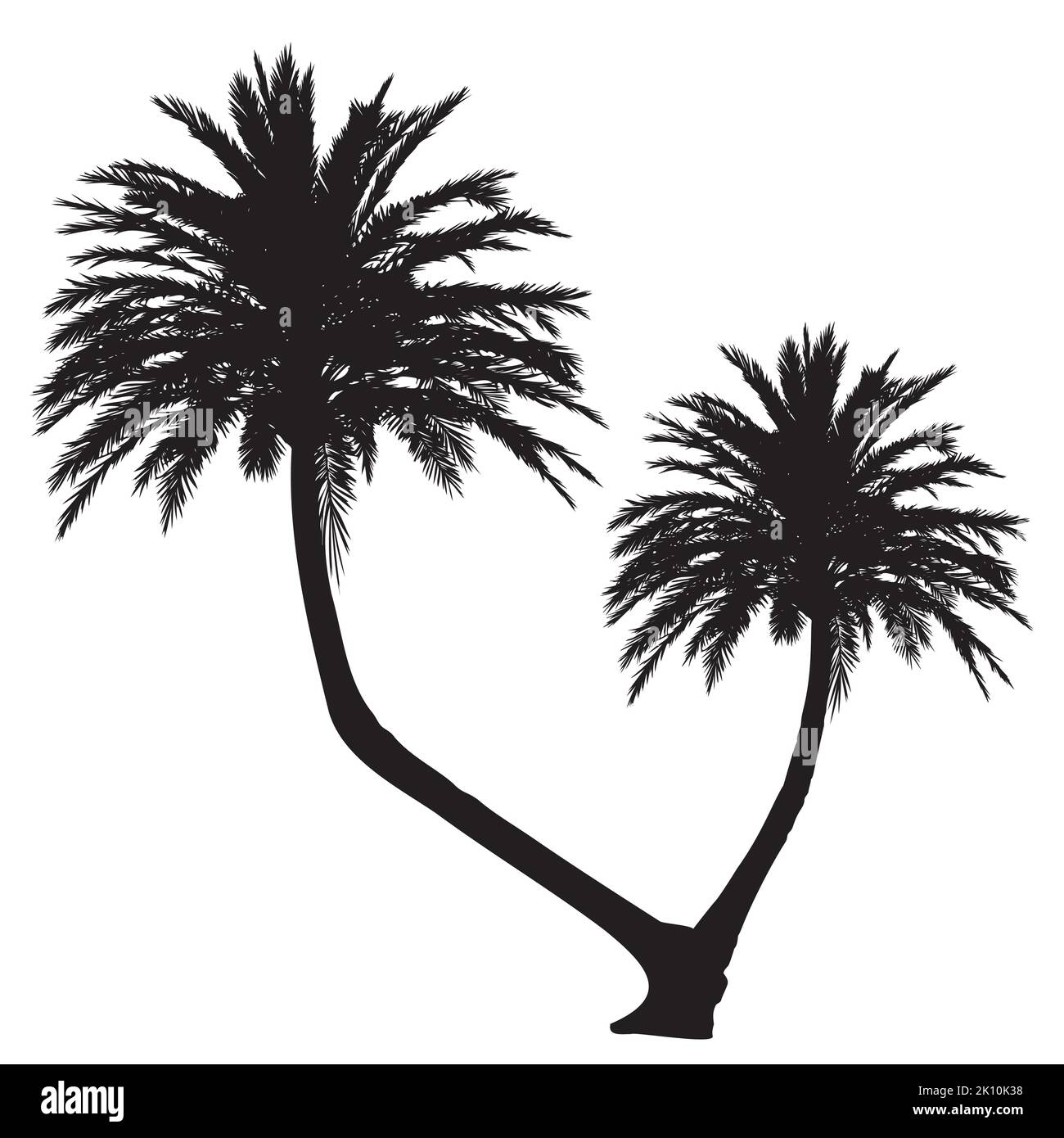 Detailed two palm trees black silhouettes illustration Stock Vector ...