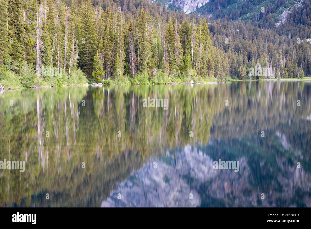 Taggart Lake reflecting the surrounding forests along its shoreline ...