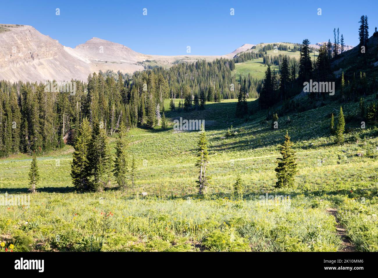 The Teton Crest Trail winding south through the upper elevations of ...