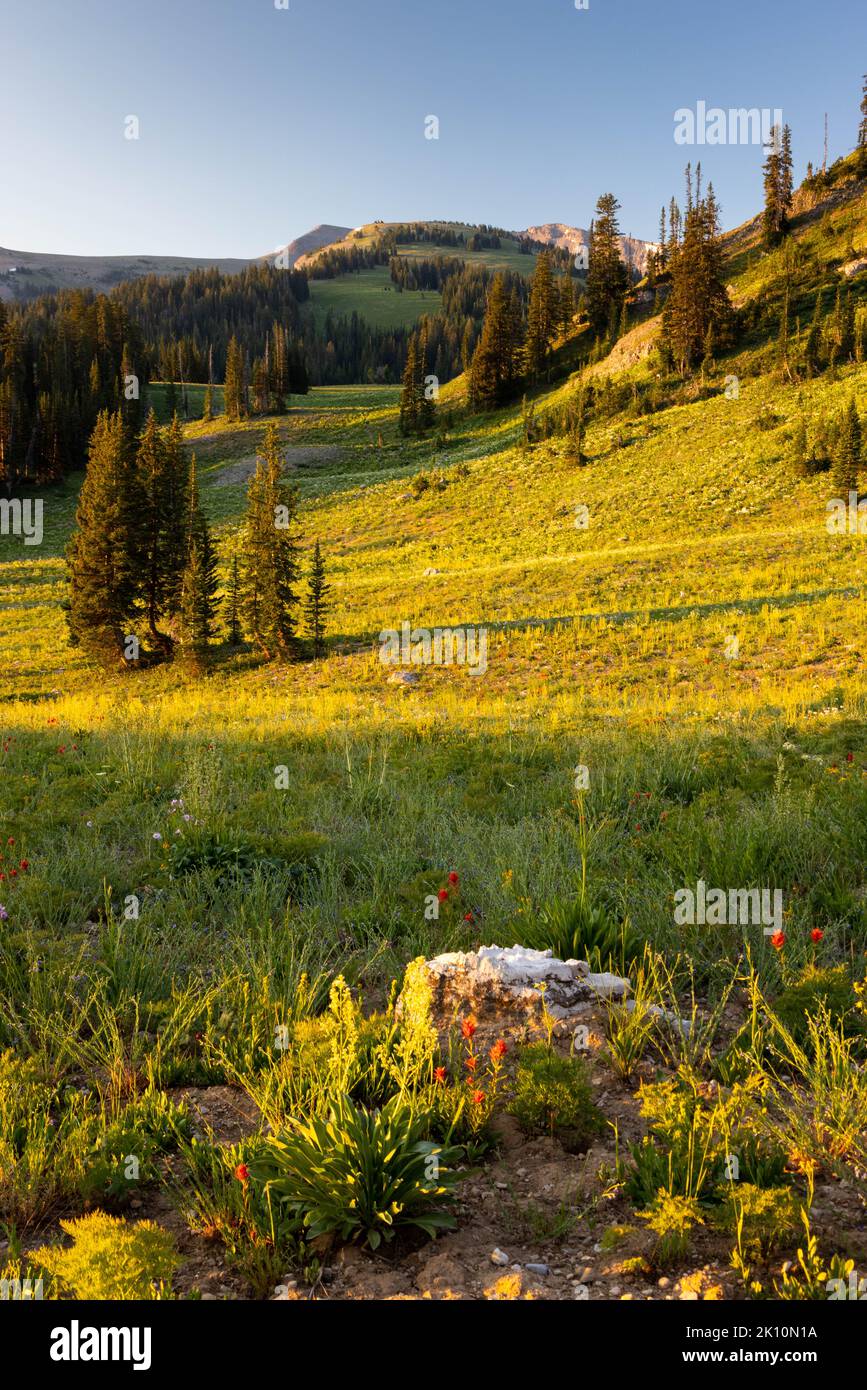 The upper elevations of Granite Canyon illuinated with sunrise light ...