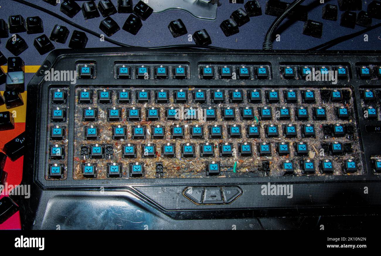 Very dirty keyboard. Dog hair, breadcrumbs and dust accumulated under ...