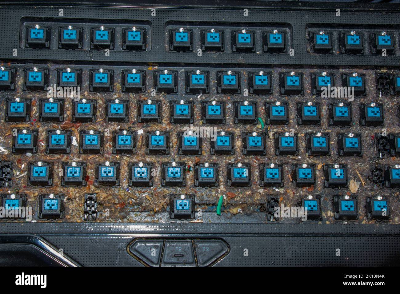 Very dirty keyboard. Dog hair, breadcrumbs and dust accumulated under ...