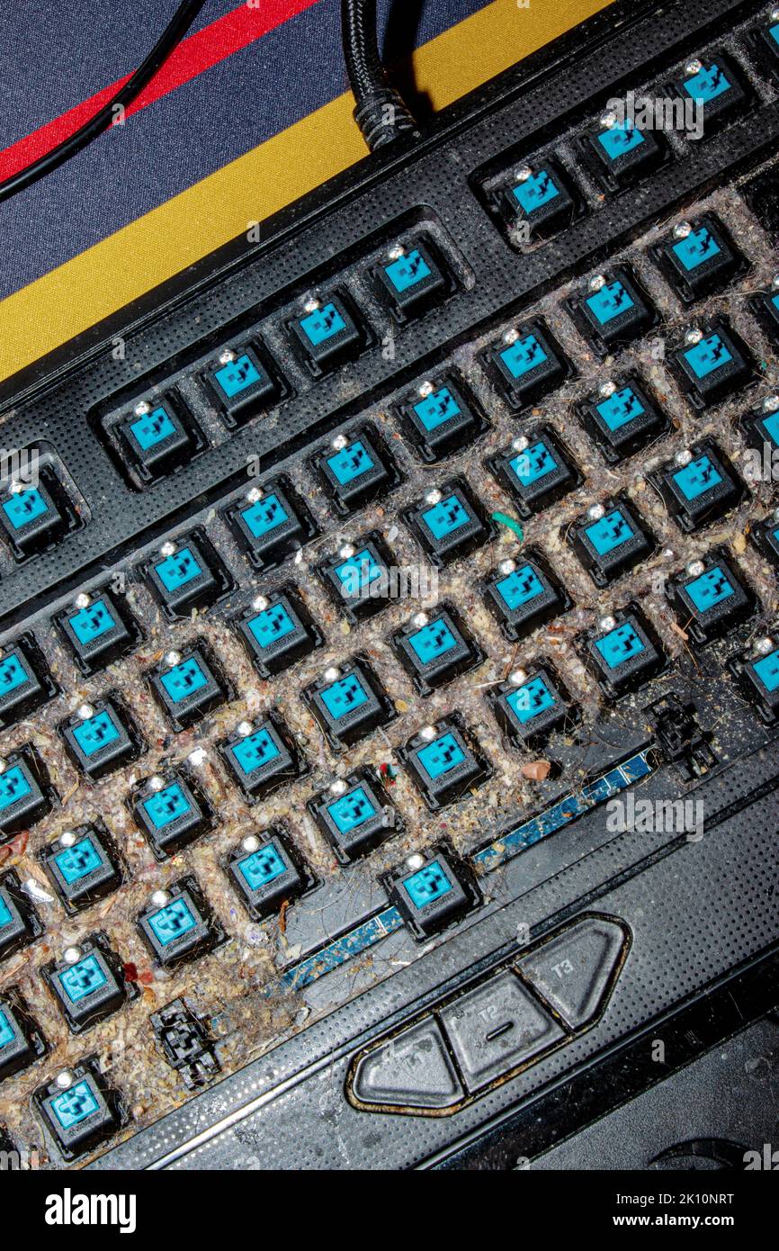 Very dirty keyboard. Dog hair, breadcrumbs and dust accumulated under ...