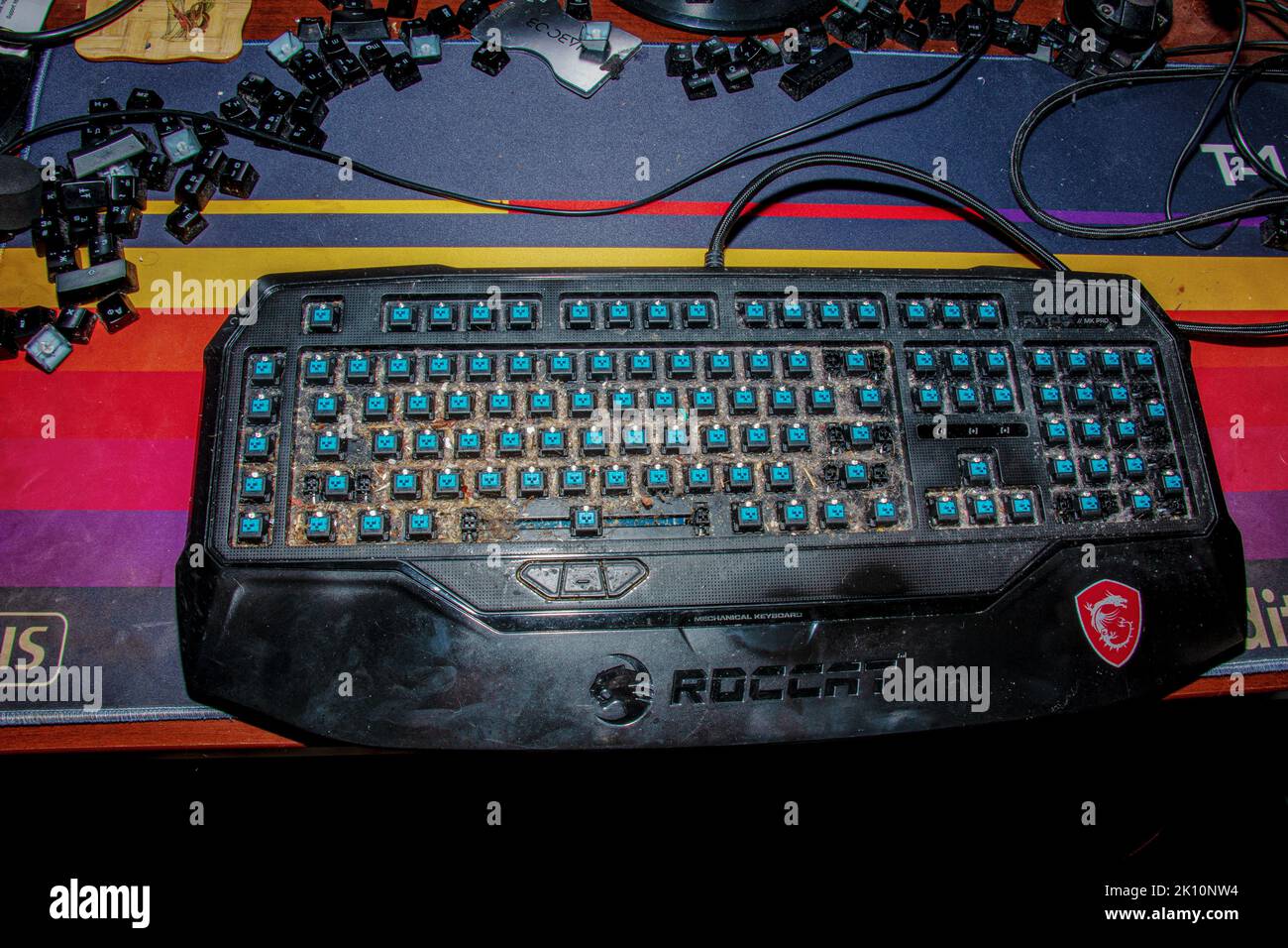 Very dirty keyboard. Dog hair, breadcrumbs and dust accumulated under ...