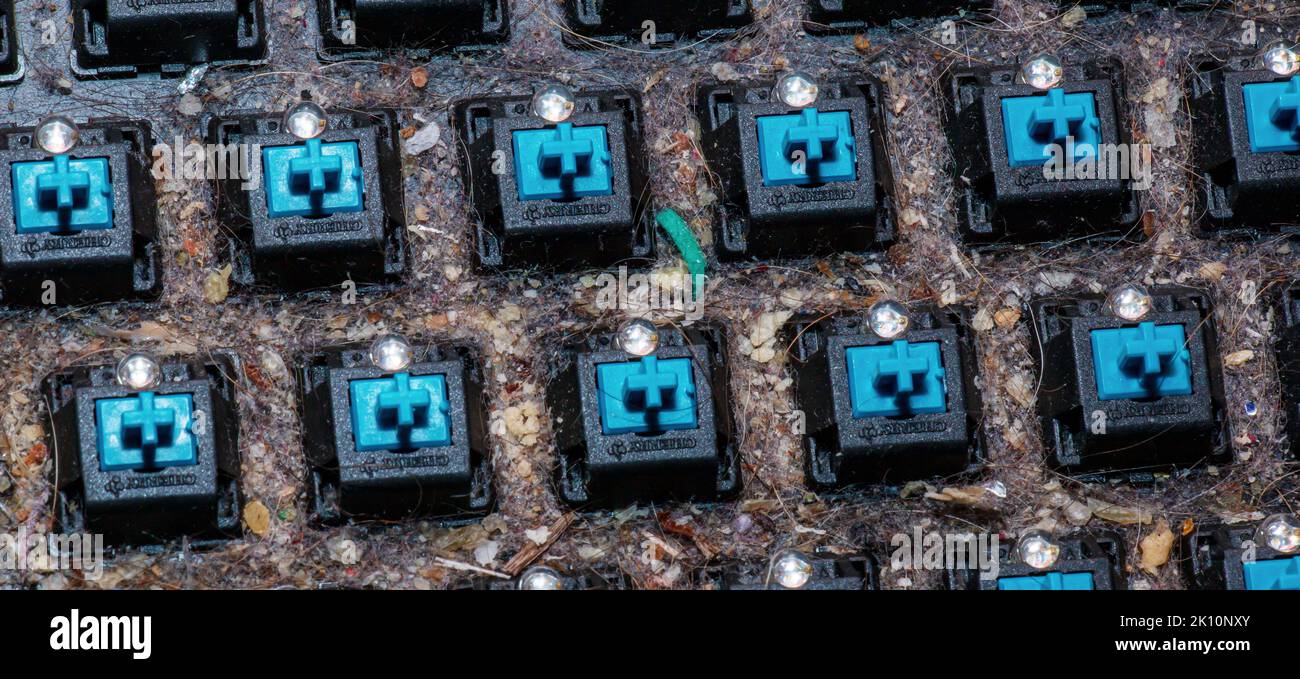 Very dirty keyboard. Dog hair, breadcrumbs and dust accumulated under ...