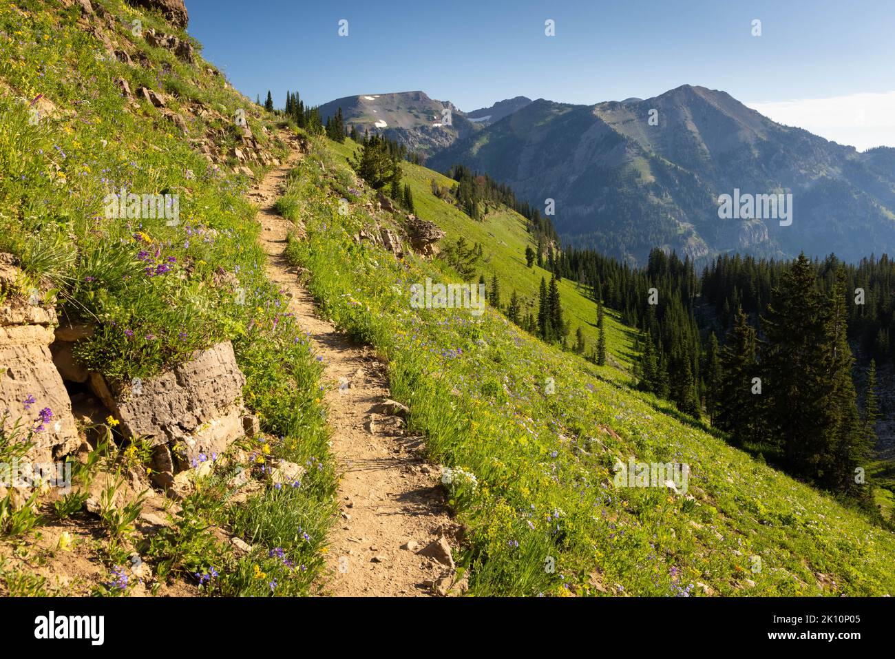 The Rendezvous Mountain Trail ascending high above Granite Canyon in ...
