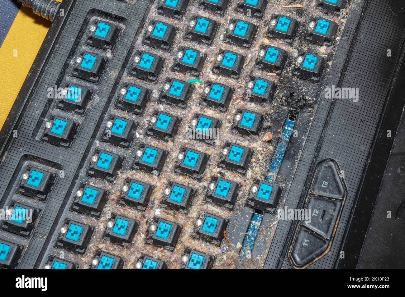 Very dirty keyboard. Dog hair, breadcrumbs and dust accumulated under ...