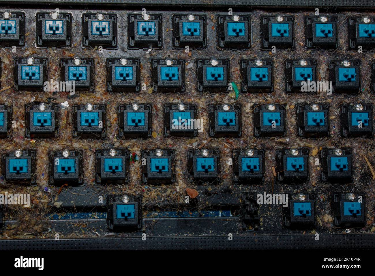 Very dirty keyboard. Dog hair, breadcrumbs and dust accumulated under ...