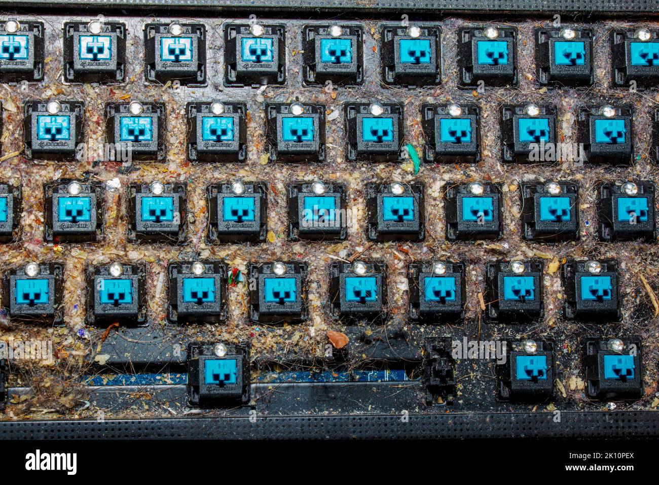 Very dirty keyboard. Dog hair, breadcrumbs and dust accumulated under ...