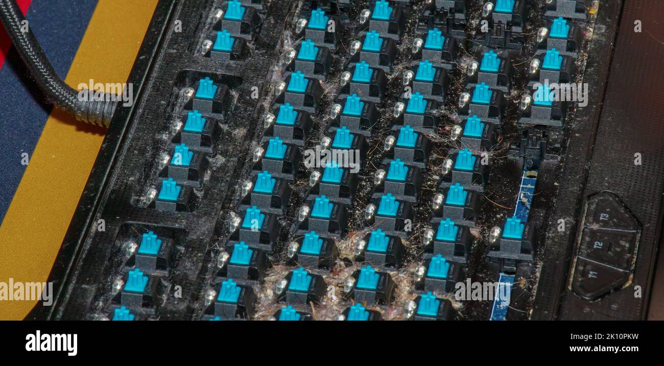 Very dirty keyboard. Dog hair, breadcrumbs and dust accumulated under ...