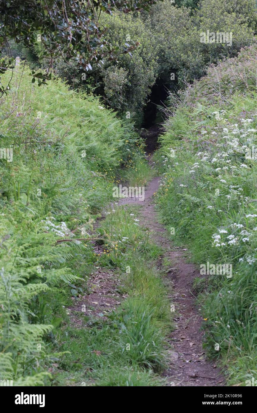 Posterable hi-res stock photography and images - Alamy