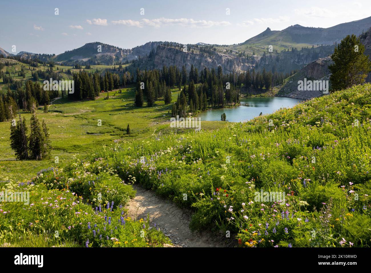 Marion Lake resting at the base of rocky cliffs below the Teton Crest ...