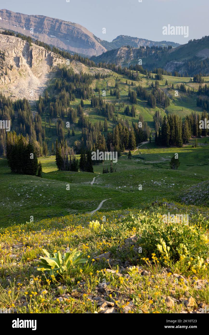 The Teton Crest Trail descending south into Granite Canyon. Grand Teton ...