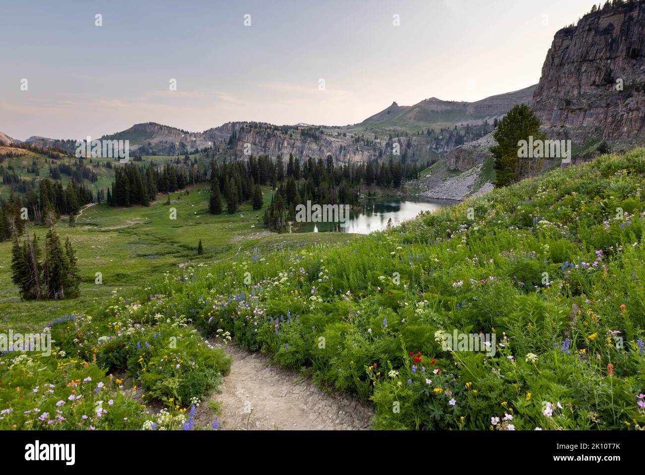 The Teton Crest Trail winding down alpine hills covered in wildflowers ...