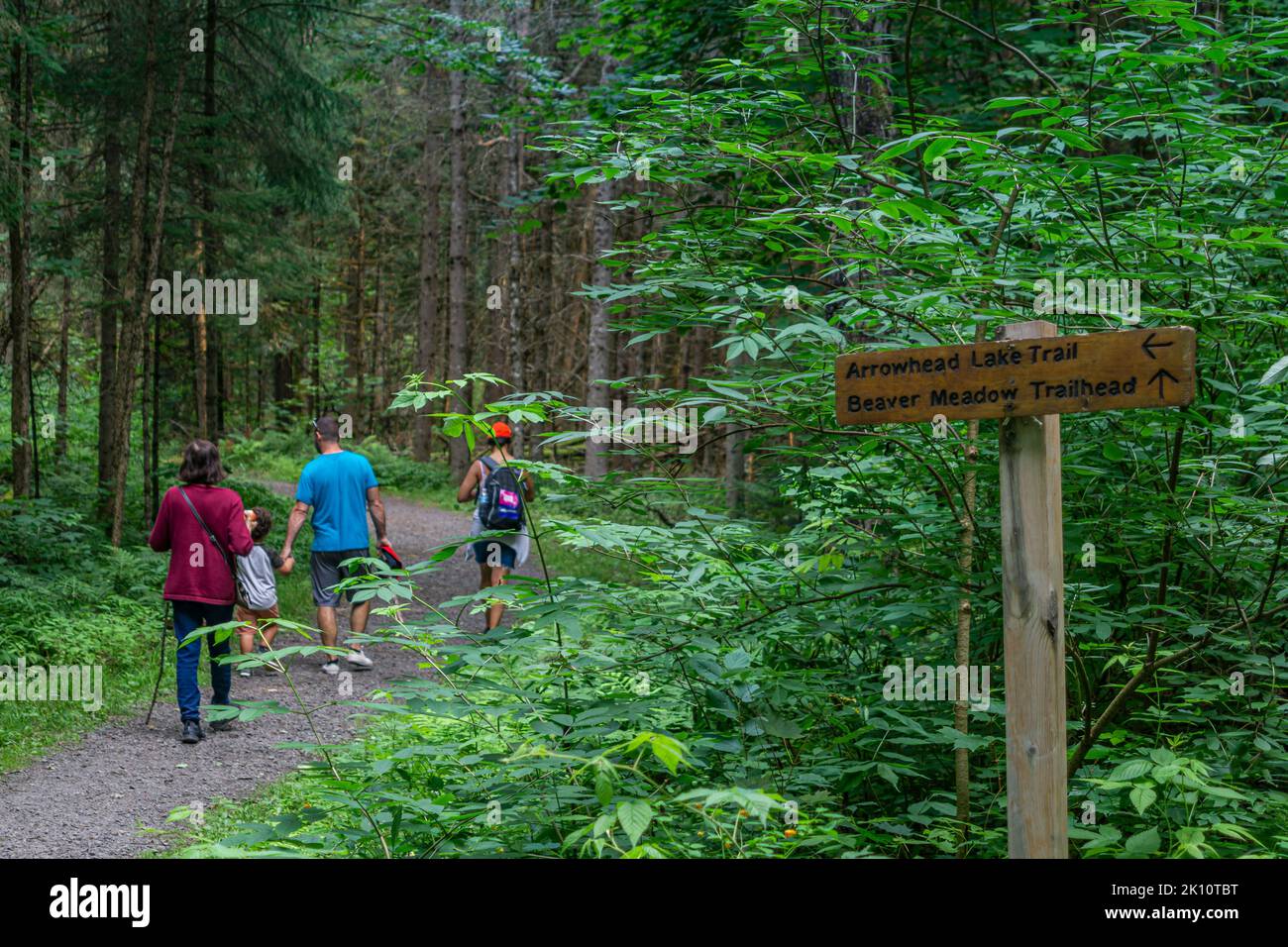 Arrowhead provincial park, Ontario, Canada, August 2021 - Family hiking ...
