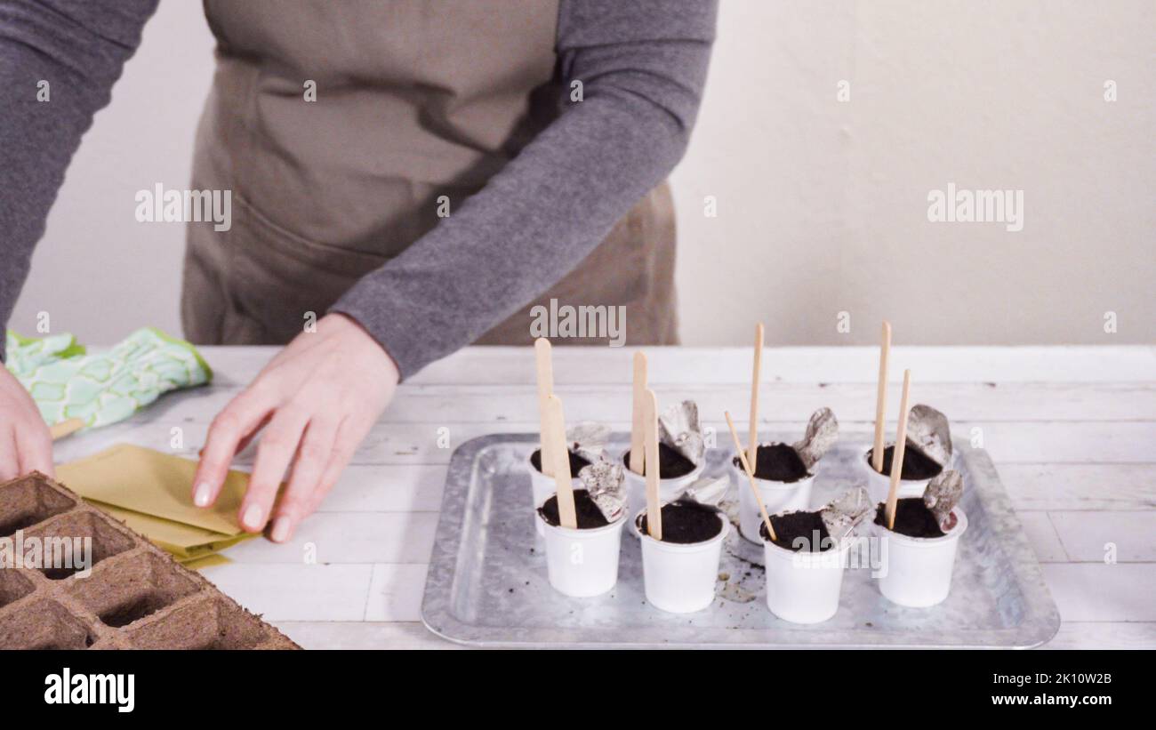 Planting pots step by step hi-res stock photography and images - Alamy