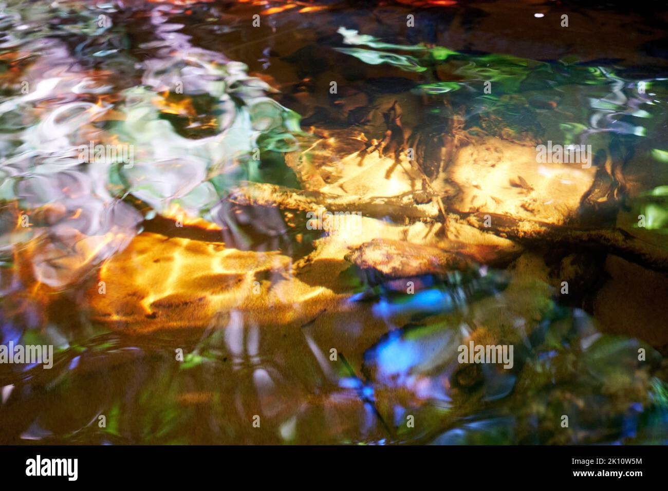 Reflections in water flow and river sand in close-up, Kemeri National ...