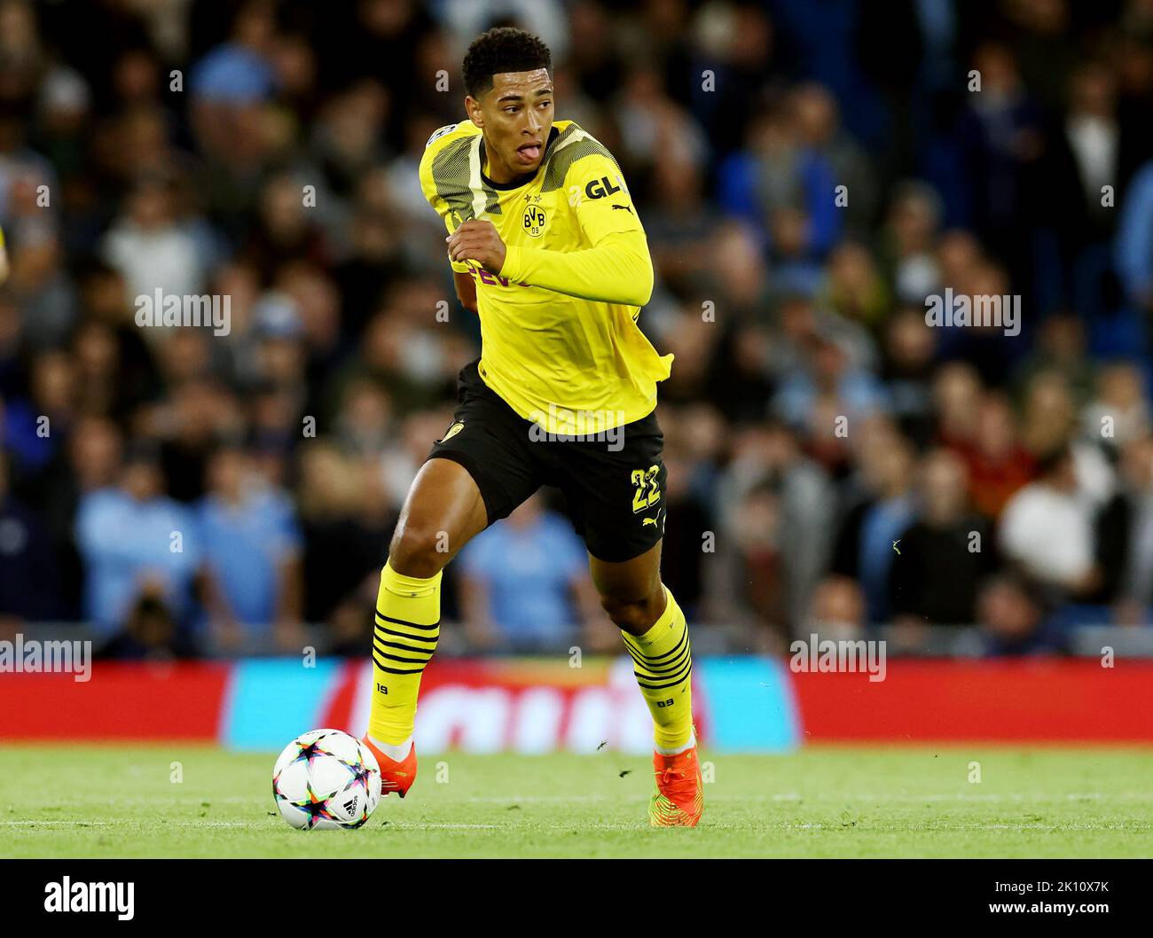 Manchester, UK. 14th Sep, 2022. Jude Bellingham of Borussia Dortmund in ...