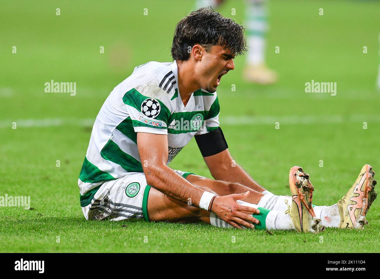 Joao pedro neves filipe hi-res stock photography and images - Alamy