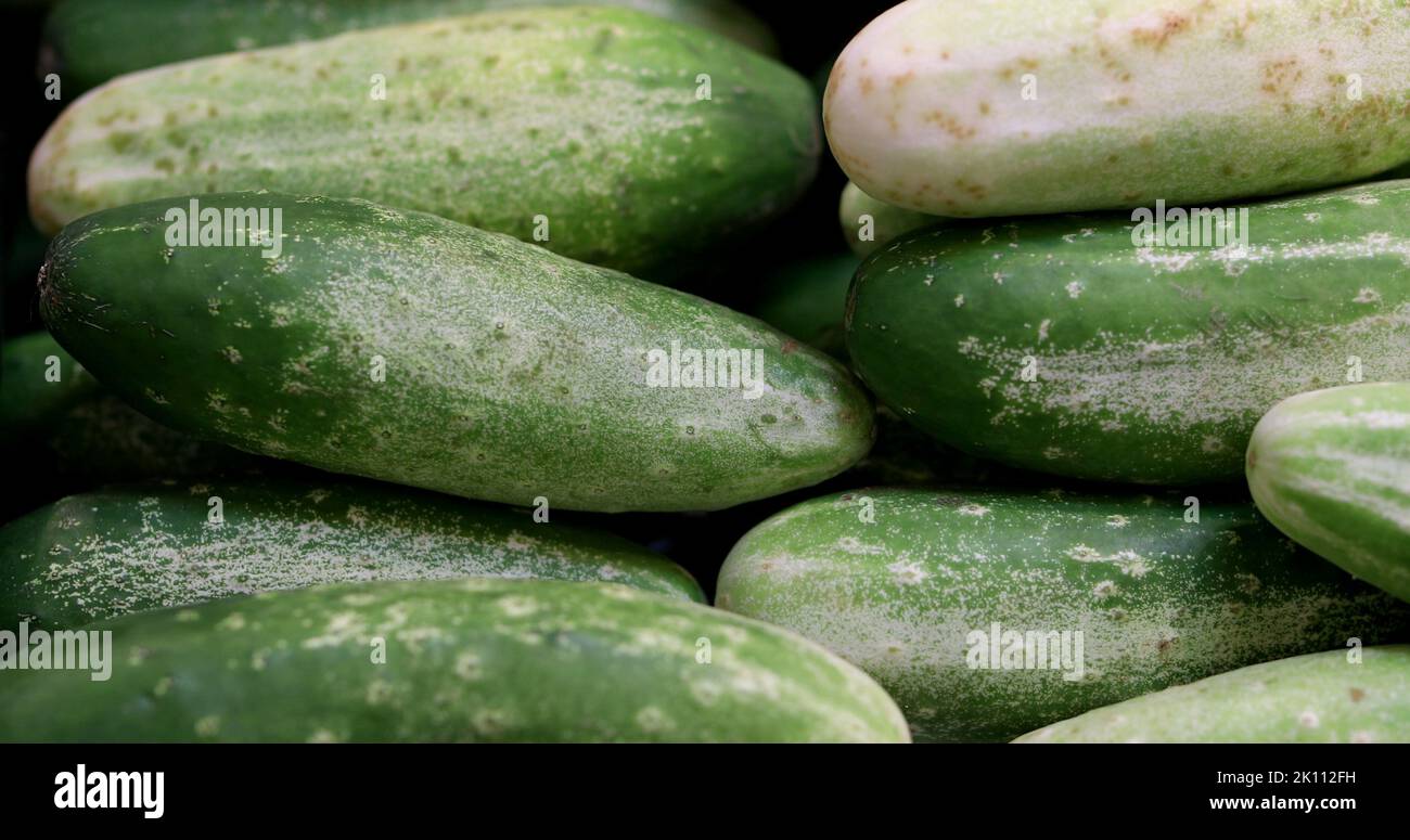 Cucumbers vegetable close-up at grocery store display Stock Photo - Alamy