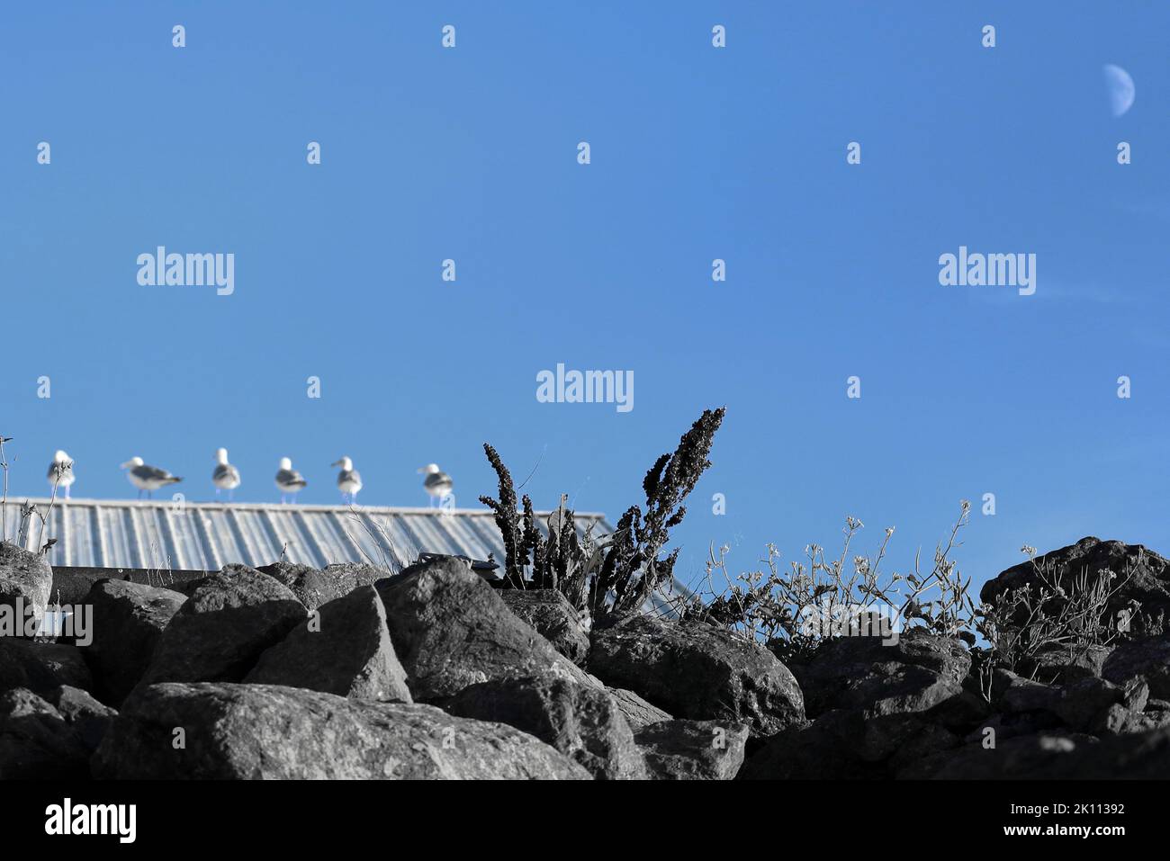 Beauty of moon hi-res stock photography and images - Alamy