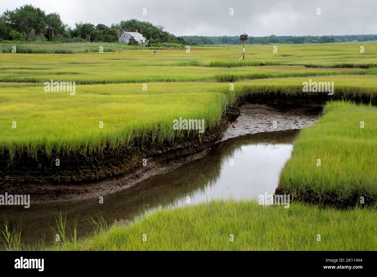 Marsh grass cape cod hi-res stock photography and images - Alamy