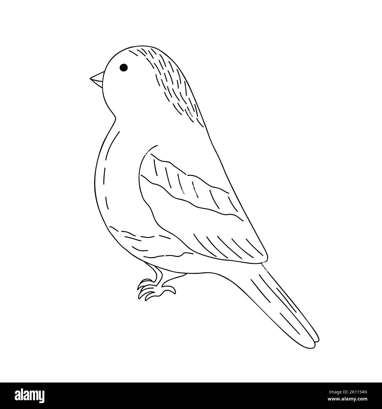 Bullfinch bird simple outline vector illustration for Christmas holiday ...