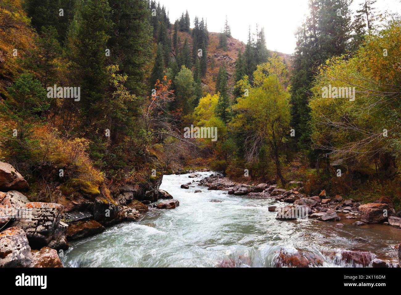 River landscape botany hi-res stock photography and images - Alamy