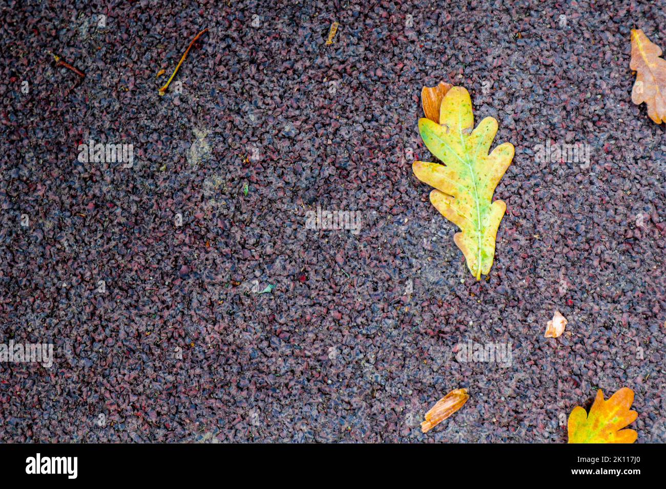 a yellow leaf on the stone.stone texture Stock Photo - Alamy