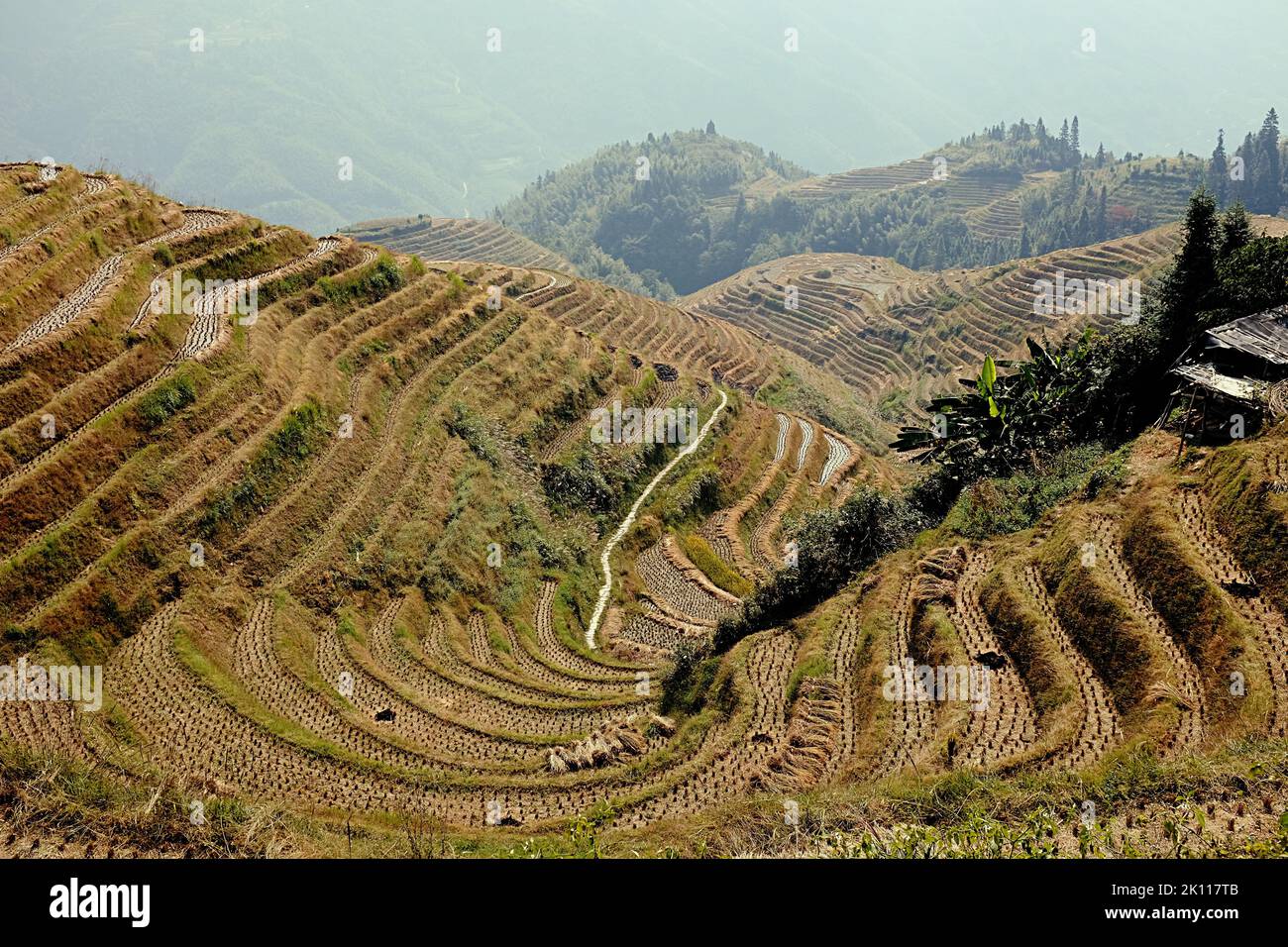 Rice plantation terrace on mountain in China. Beautiful agriculture ...