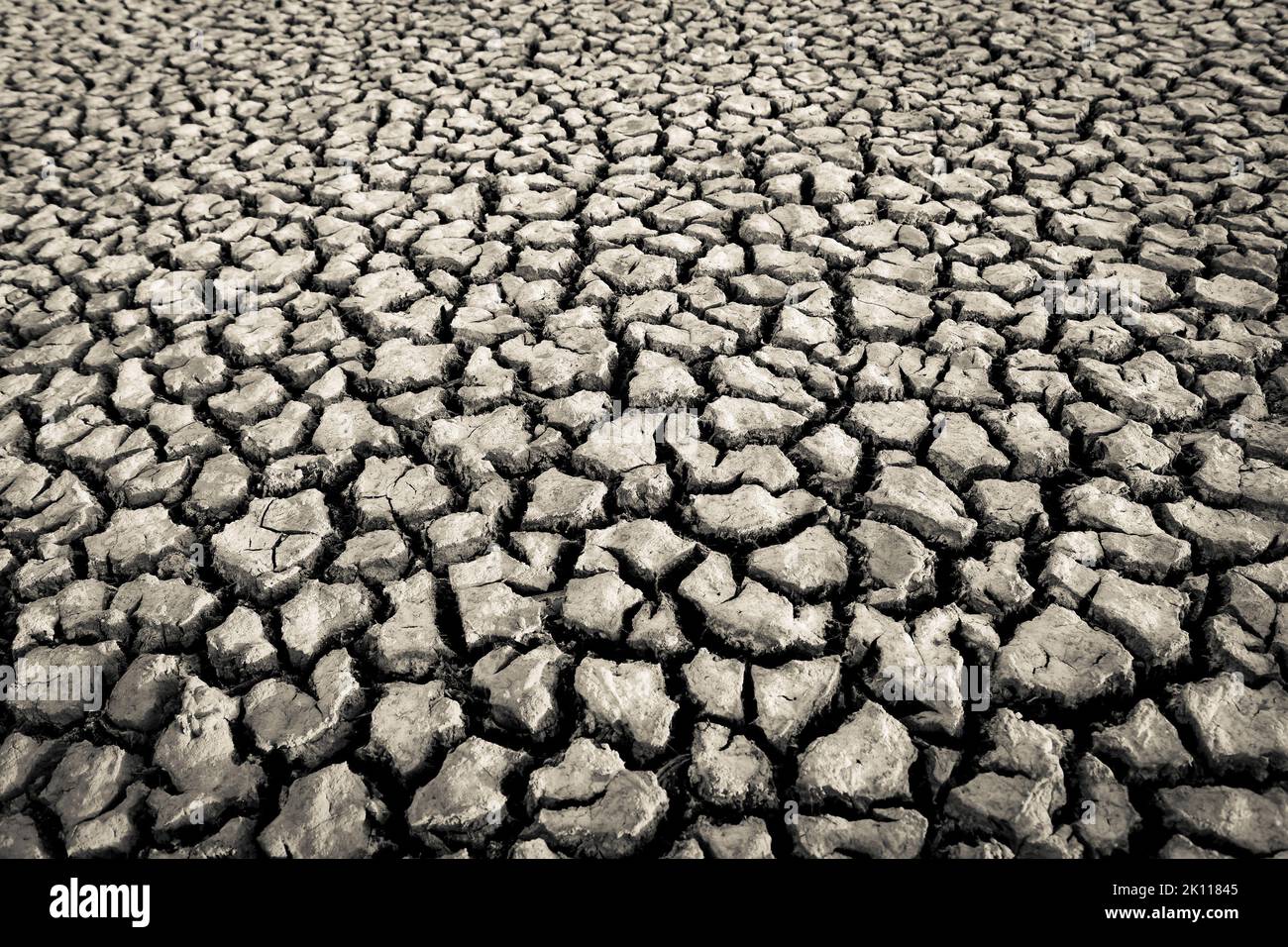Dry soil desert , La pampa province, Pampas, Patagonia, Argentina Stock ...