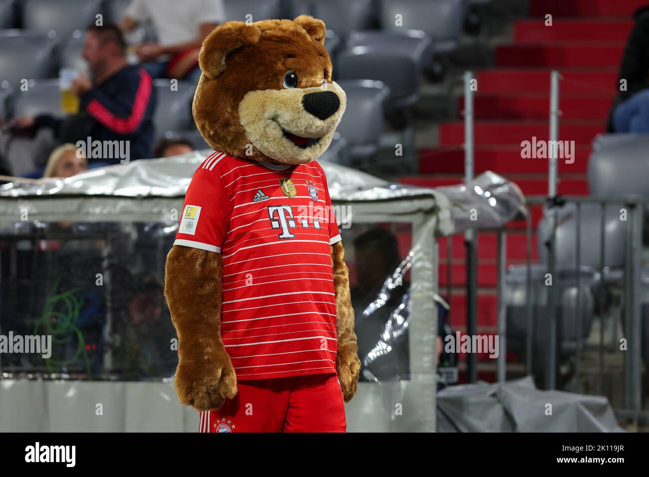 during the UEFA Champions League match between FC Bayern Munich v FC ...