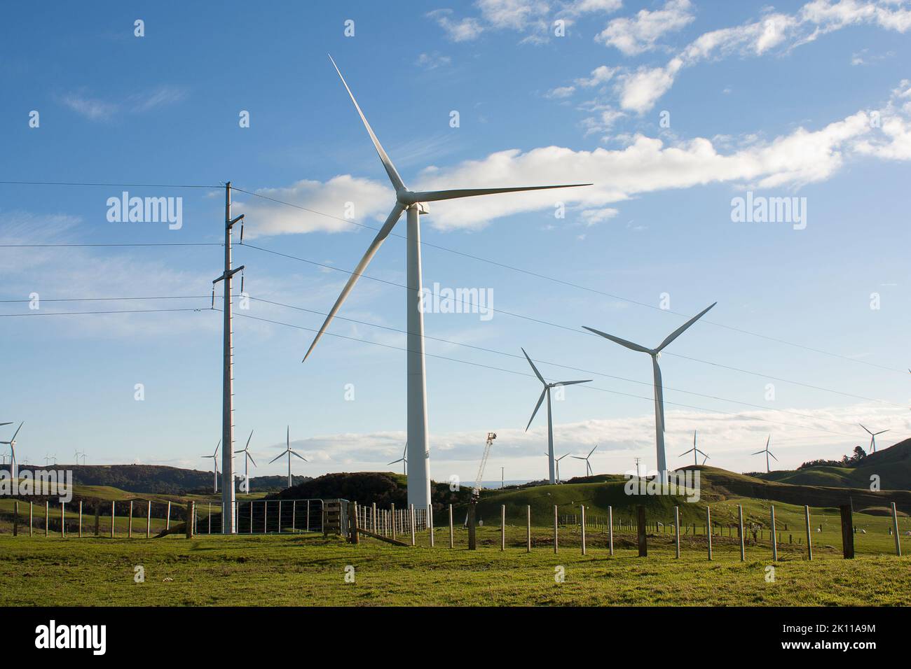 Apiti new zealand hi-res stock photography and images - Alamy