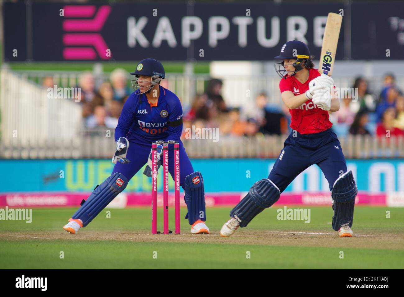 Cricket player amy jones hi-res stock photography and images - Alamy