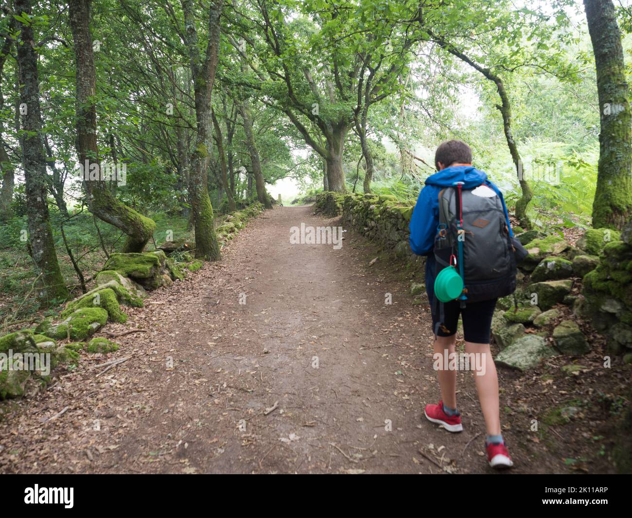 young boy hiking with his backpack Stock Photo - Alamy