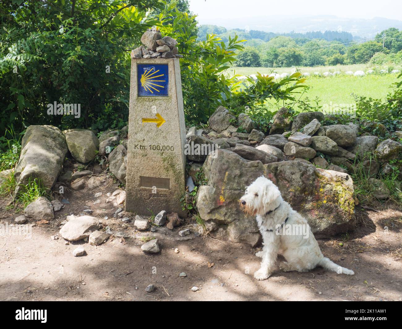 path the dog follows Stock Photo - Alamy