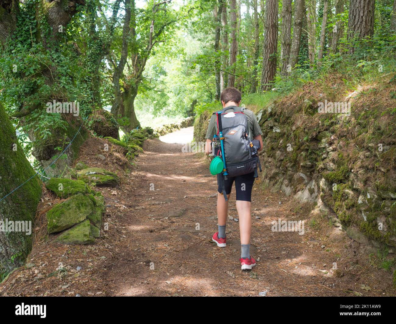 young boy hiking with his backpack Stock Photo - Alamy