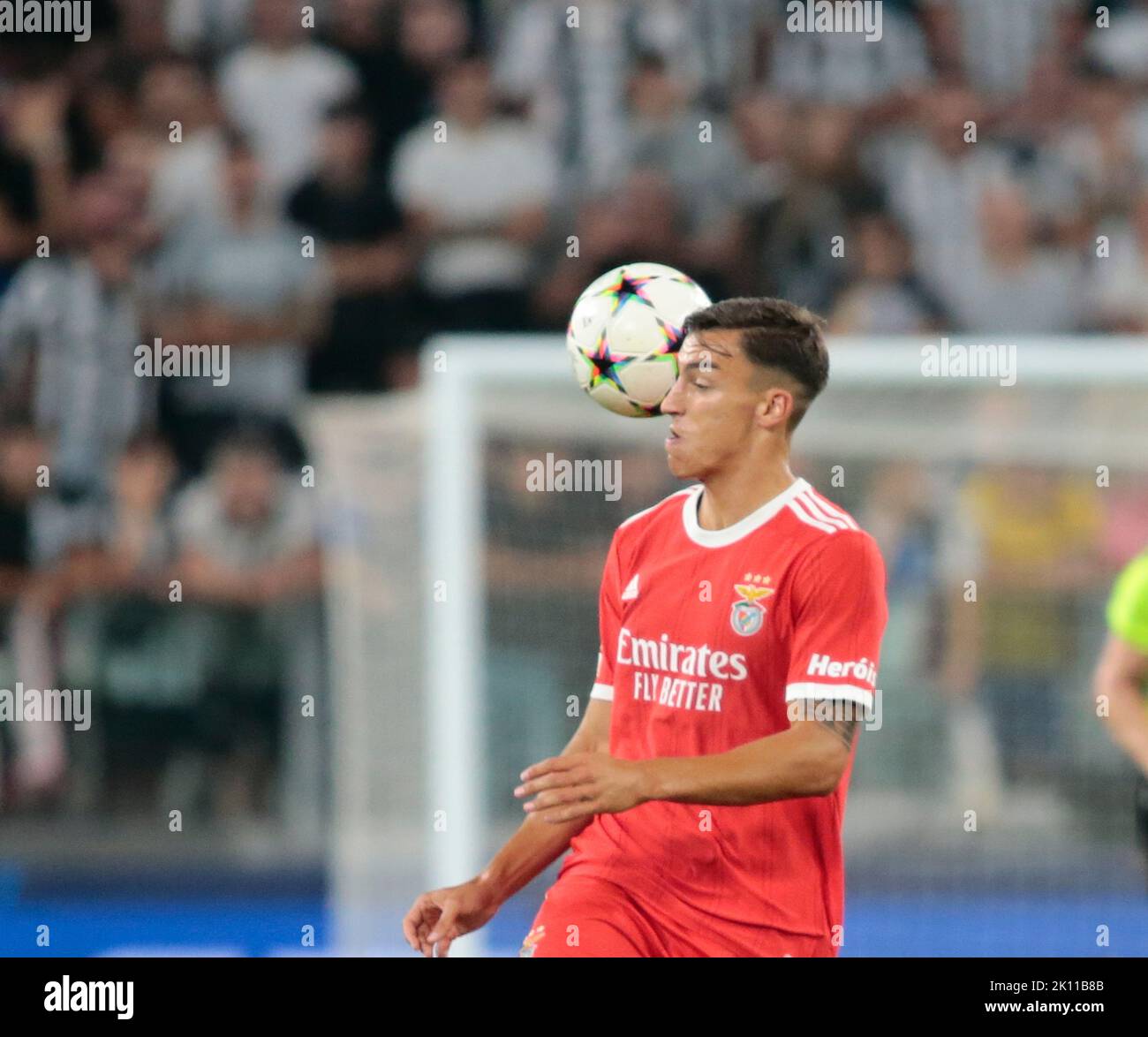 Turin, Italy. 14th Sep, 2022. Petar Musa of Benfica during the UEFA ...