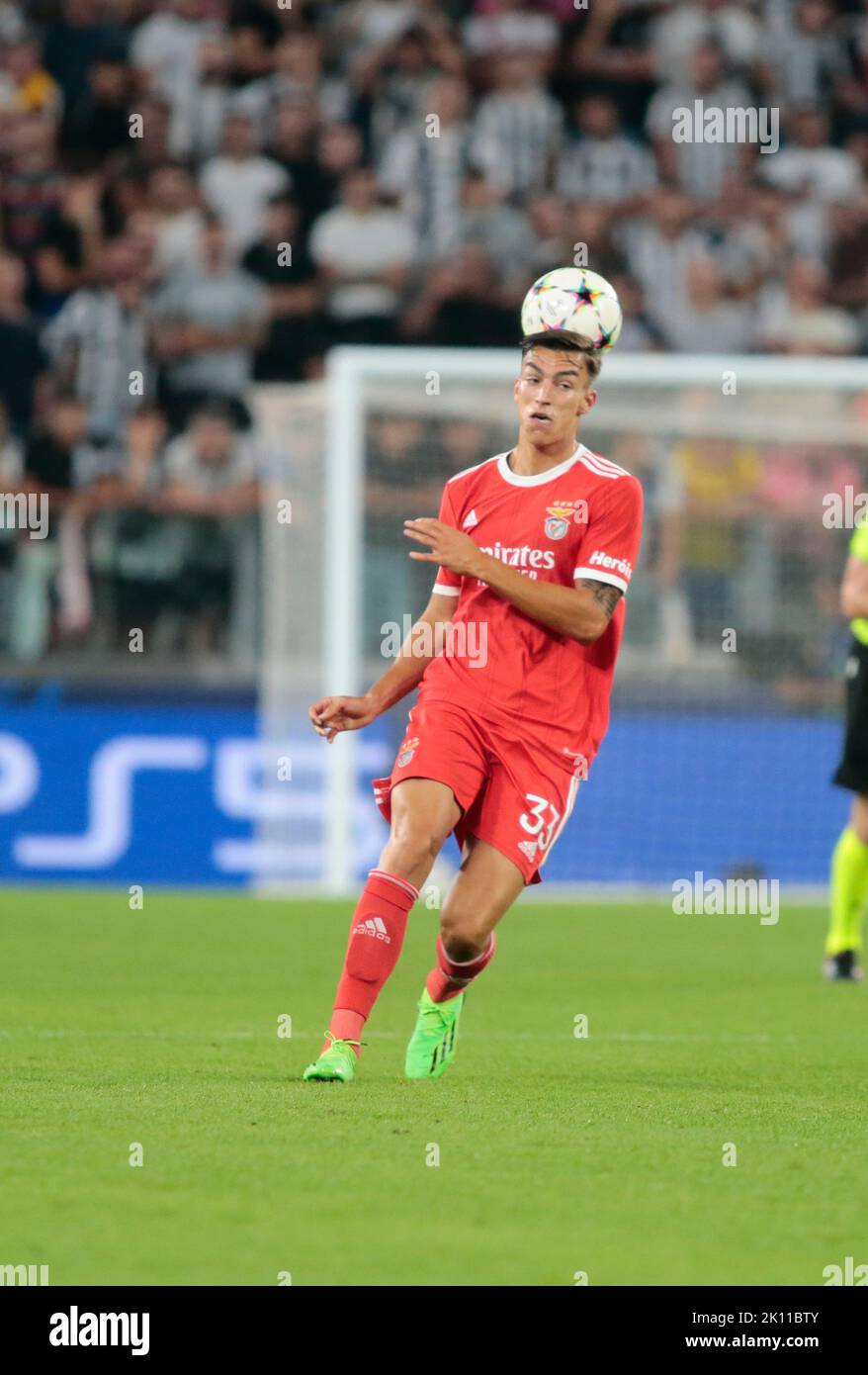 Turin, Italy. 14th Sep, 2022. Petar Musa of Benfica during the UEFA ...