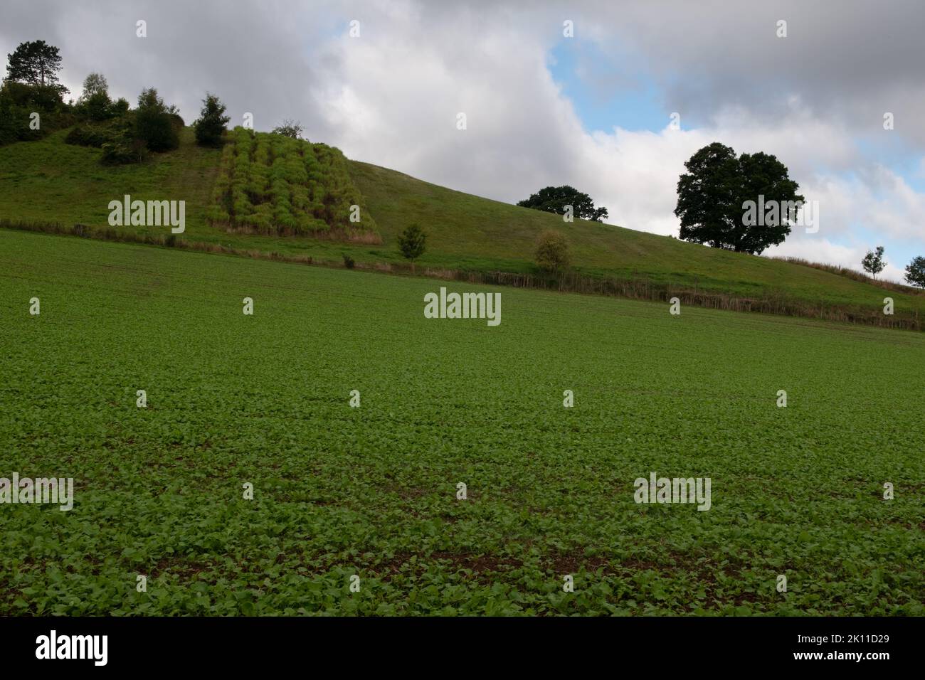 Working the land england hi-res stock photography and images - Alamy