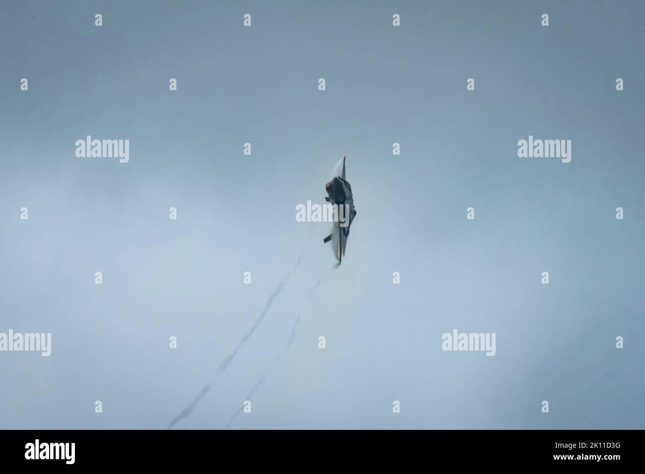 A Japan Air Self-Defense Force (JASDF) F-35A Lightning II Demonstration ...