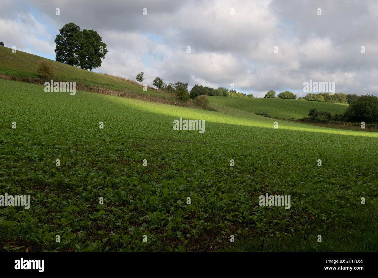Arable farmland near Goodrich, Herefordshire, England, UK Stock Photo ...