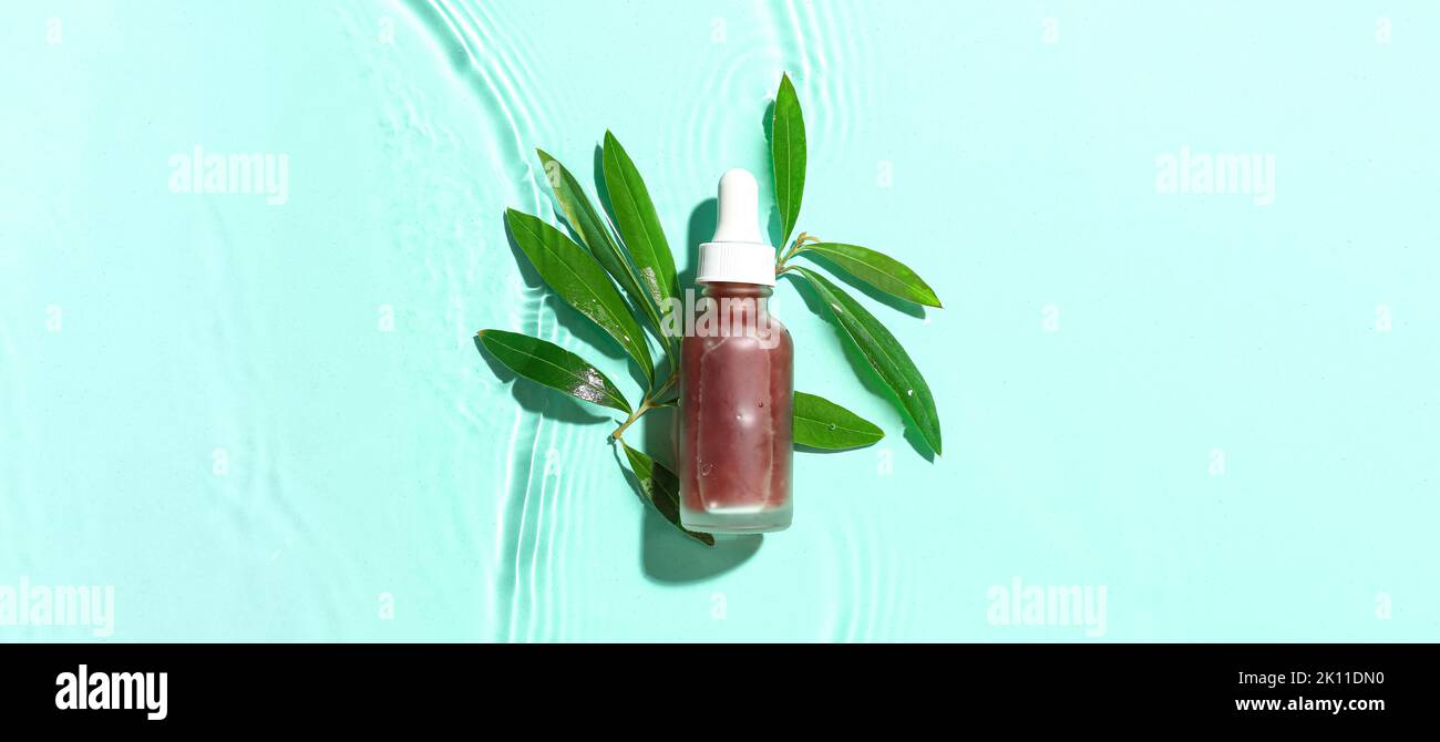 Bottle of essential olive oil in water on turquoise background Stock ...
