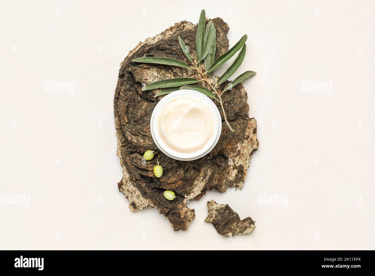 Jar of cream with green olives, plant branch and tree bark on white ...