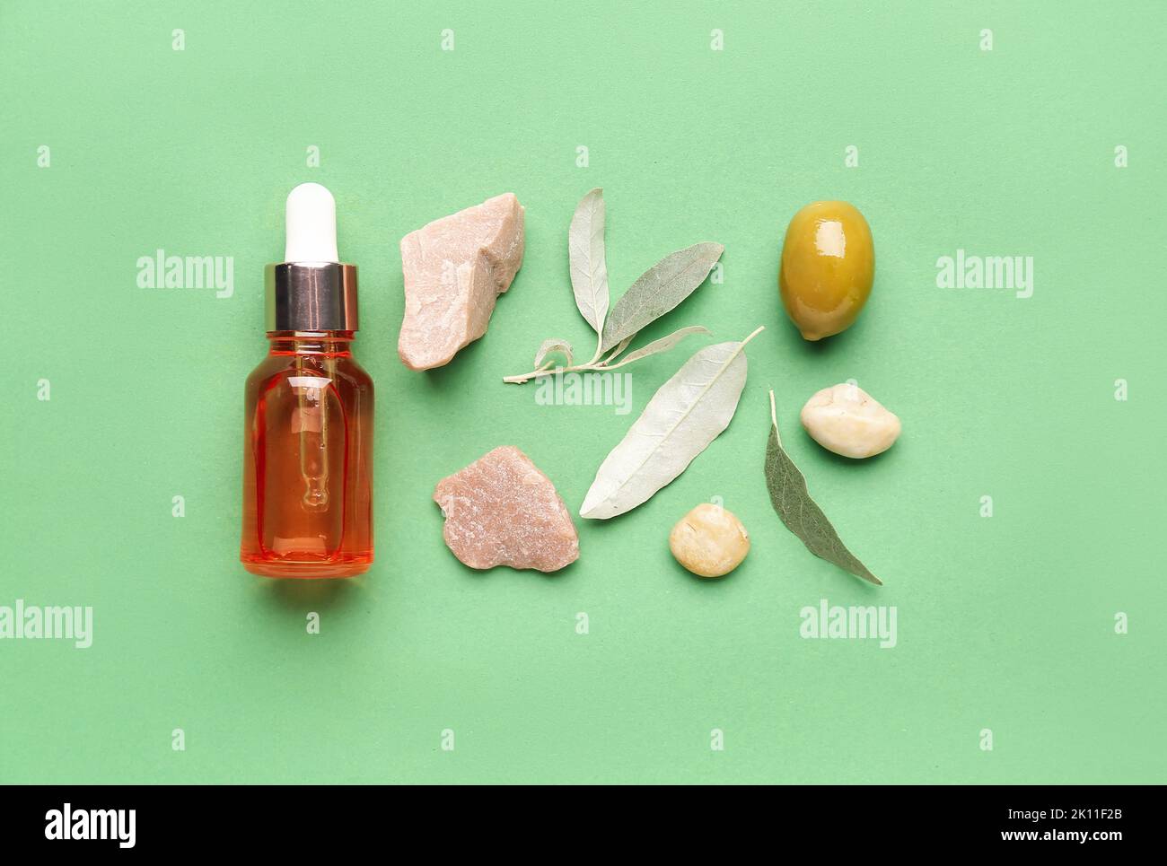 Composition with bottle of essential olive oil, stones and plant leaves ...