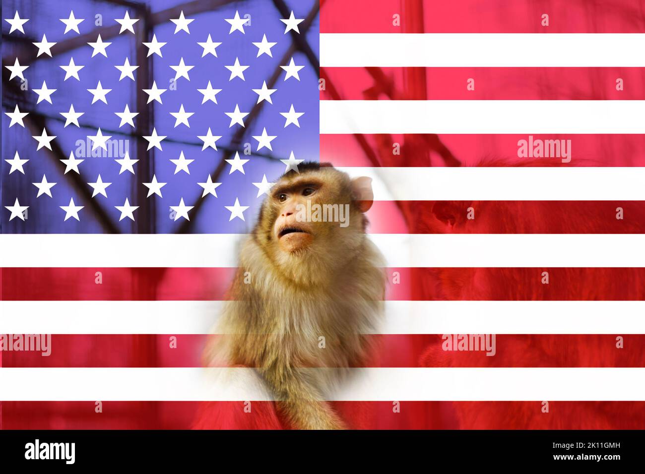 Monkeypox new disease dangerous over the world. Monkeypox virus ...