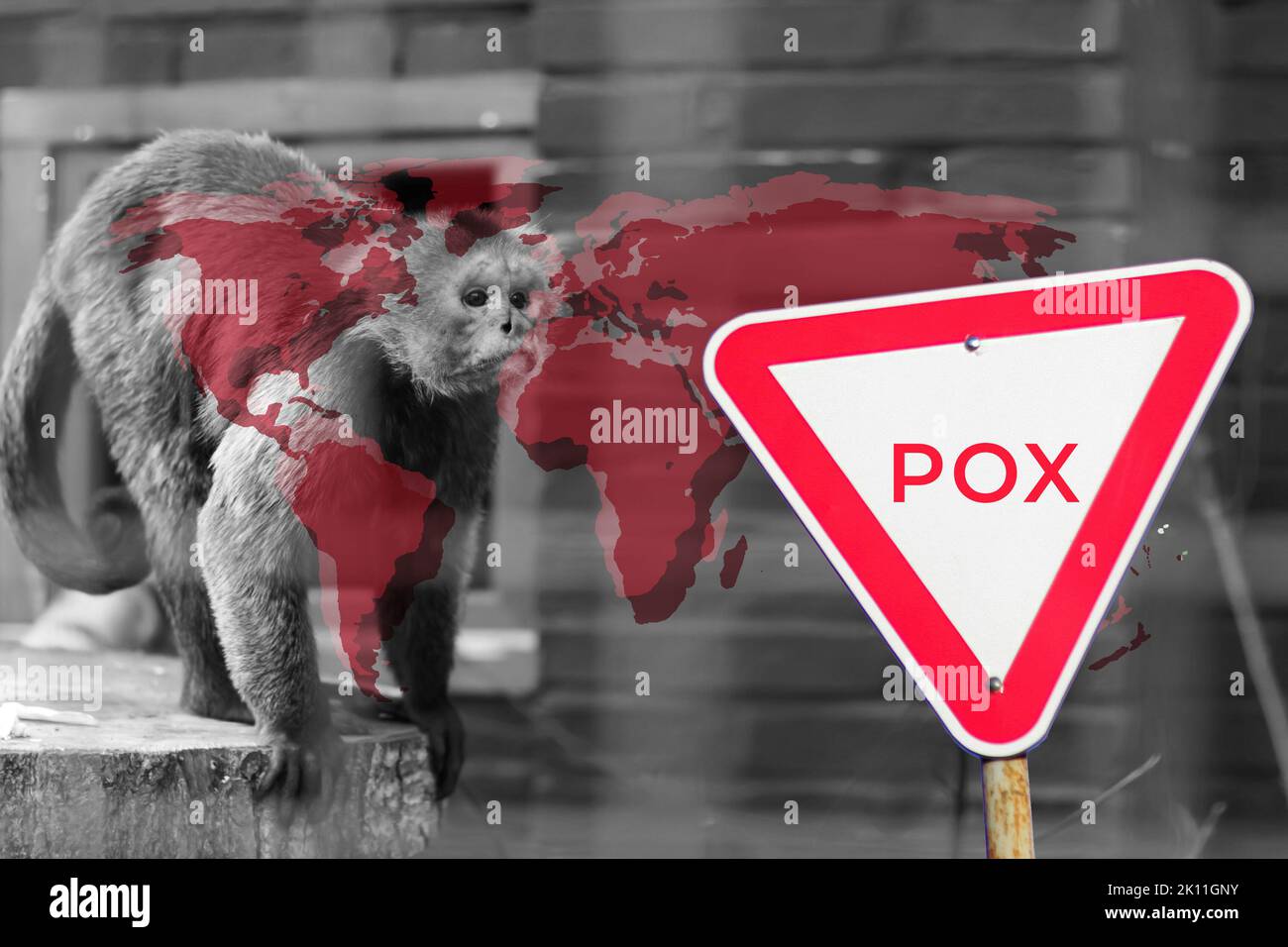 Monkeypox new disease dangerous over the world. Monkeypox virus ...