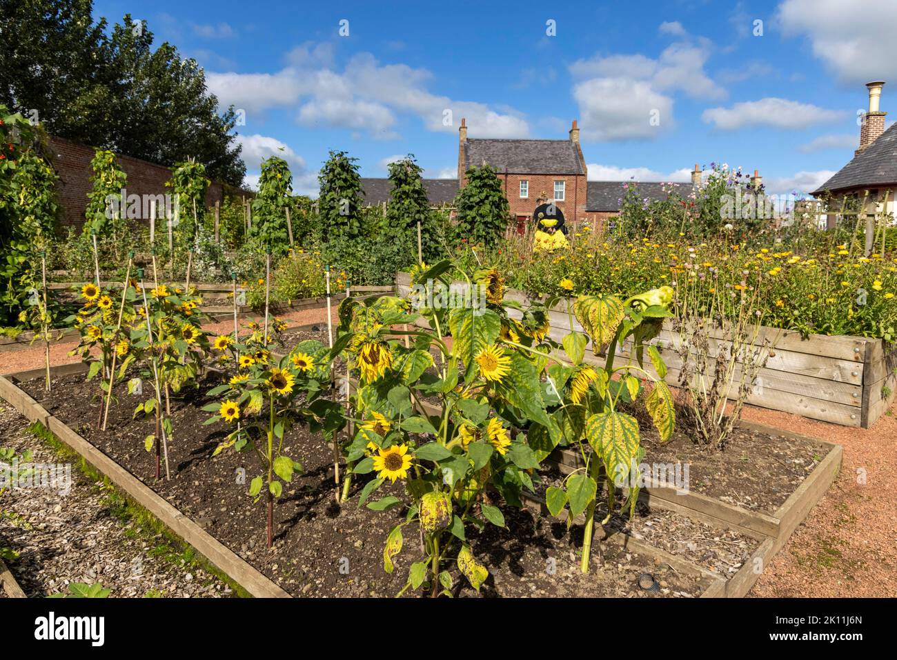 The Pierburg Building and the Kauffman Education garden, which is part ...